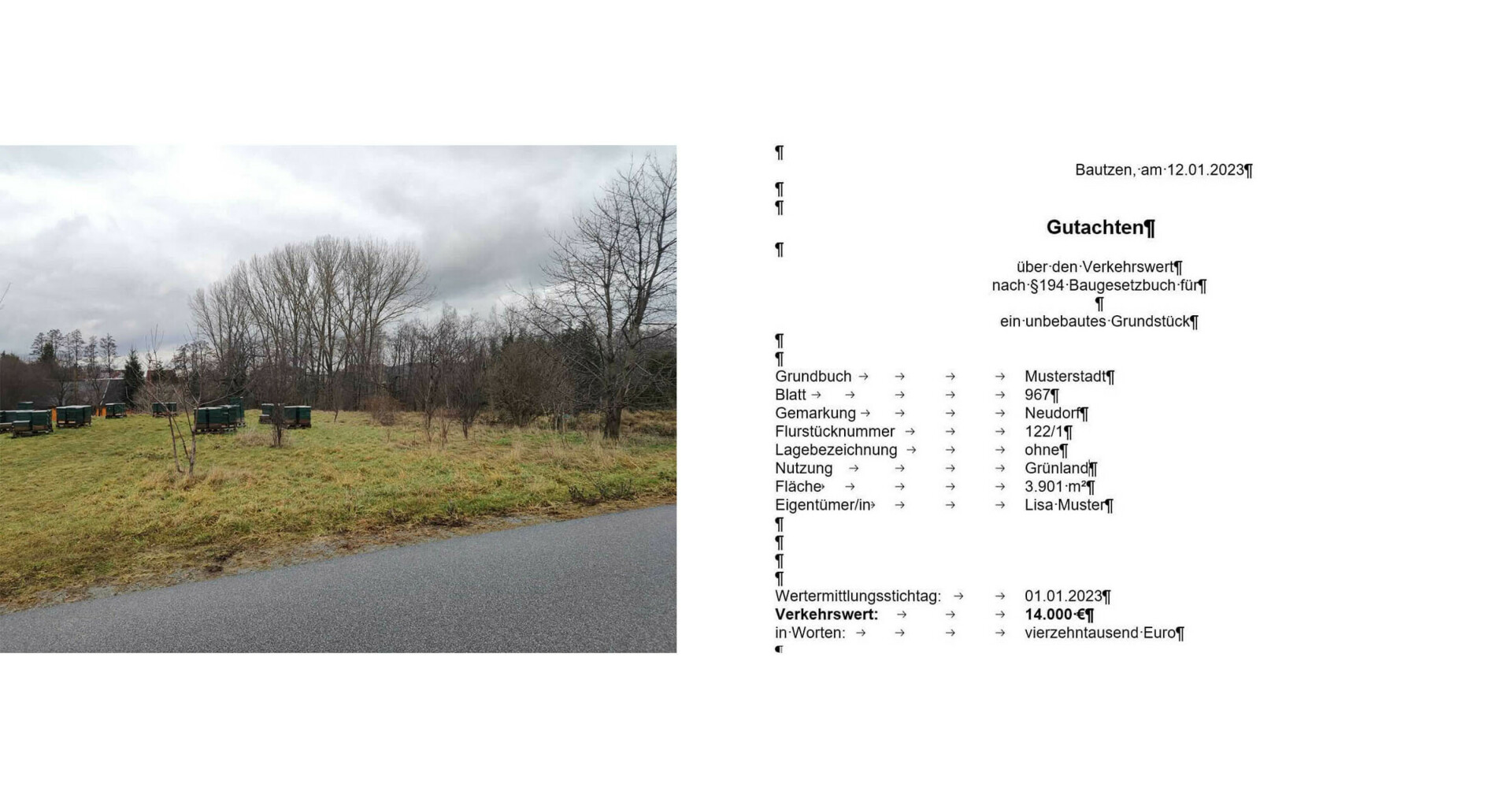 Beratung - Pfitzner Geo